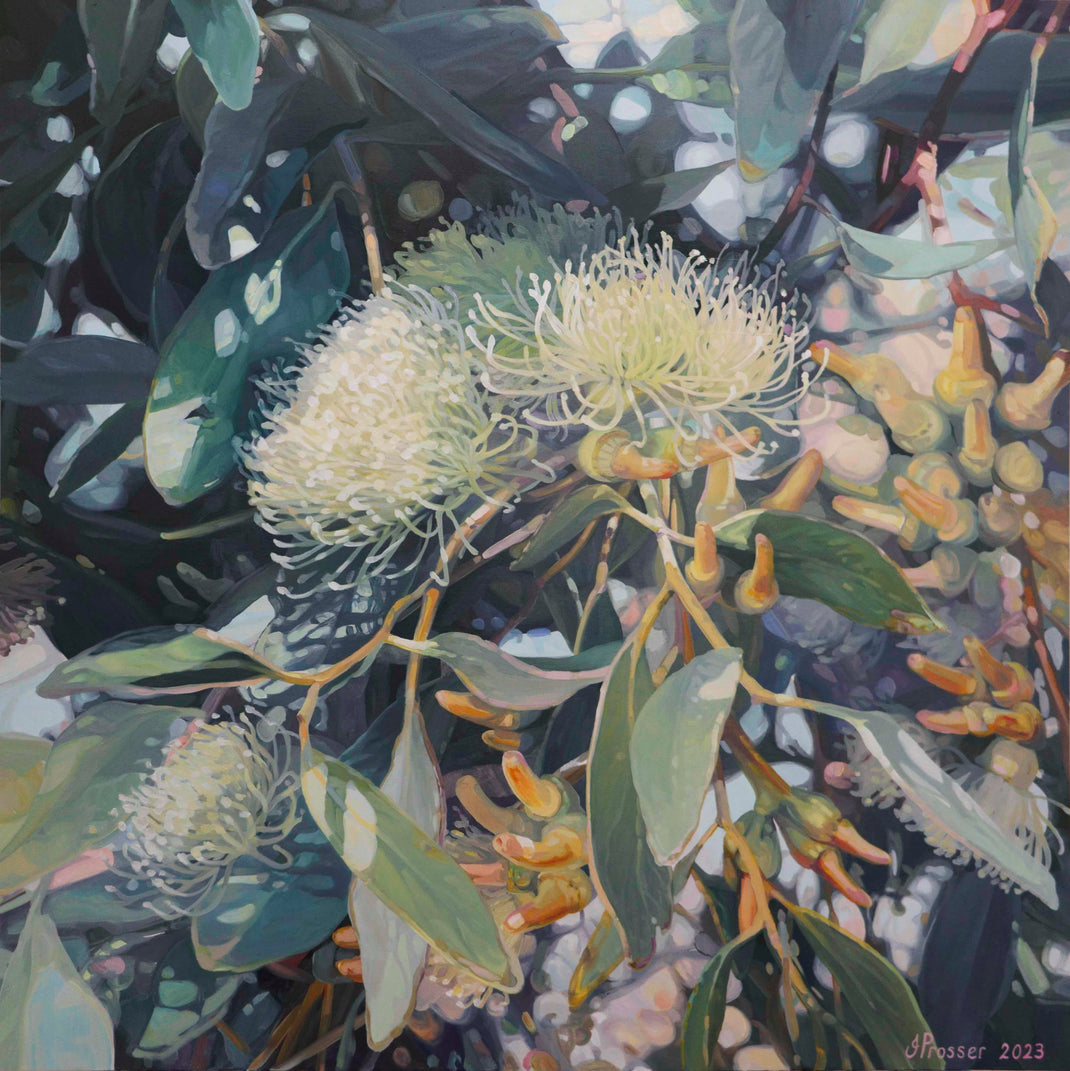Autumn Flowering Gum Painting – JAIME PROSSER ART